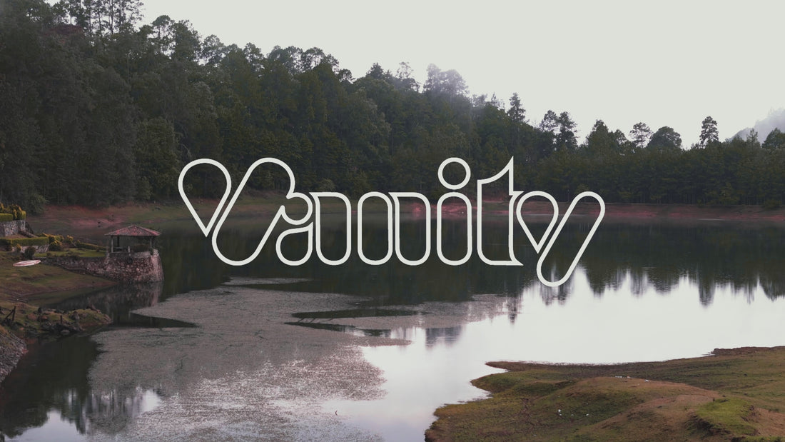 Vanity | Conoce la nueva colección Online